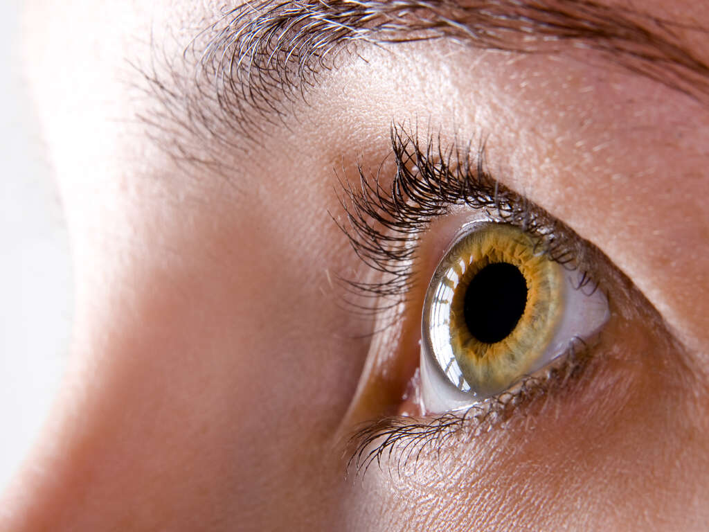 Eyes 10 Eye Twitching Symptoms